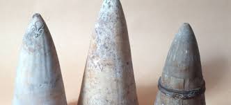 SCURTA ISTORIE A ZAHARULUI – Zahar